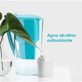 Alkanatur Caraffa per acqua alcalina con filtro - Acquista su Bulevip